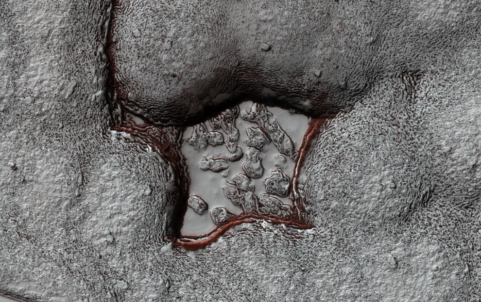 Who’d have thought Mars… – Penelope Todd