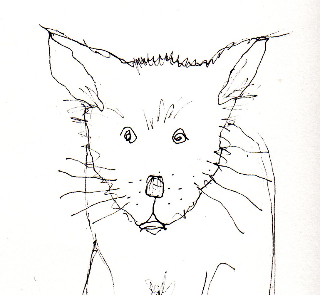 Angsty cat – Penelope Todd